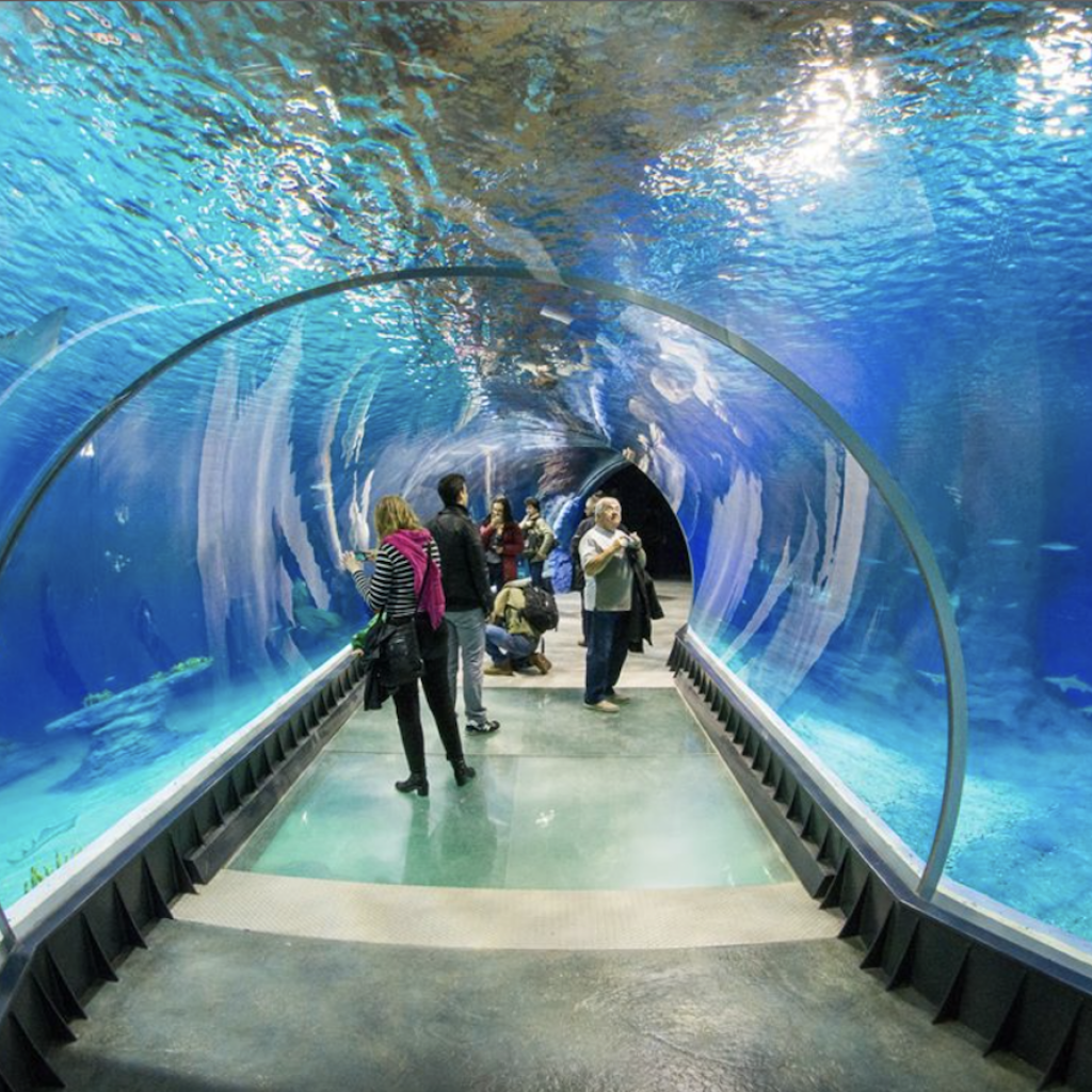 Vratislav - největší polská ZOO a Afrikárium + centrum města - Orbit travel s.r.o.